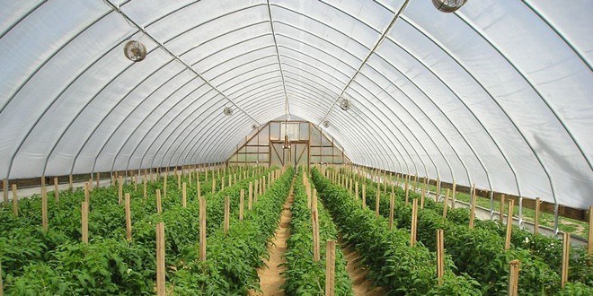 Πως θα φτιάξετε ένα θερμοκήπιο - Building a Greenhouse